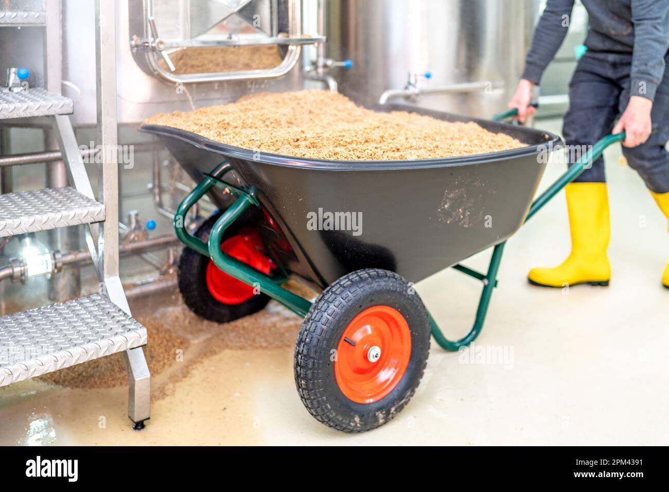malt for brewing beer in a brewery Stock Photo - Alamy