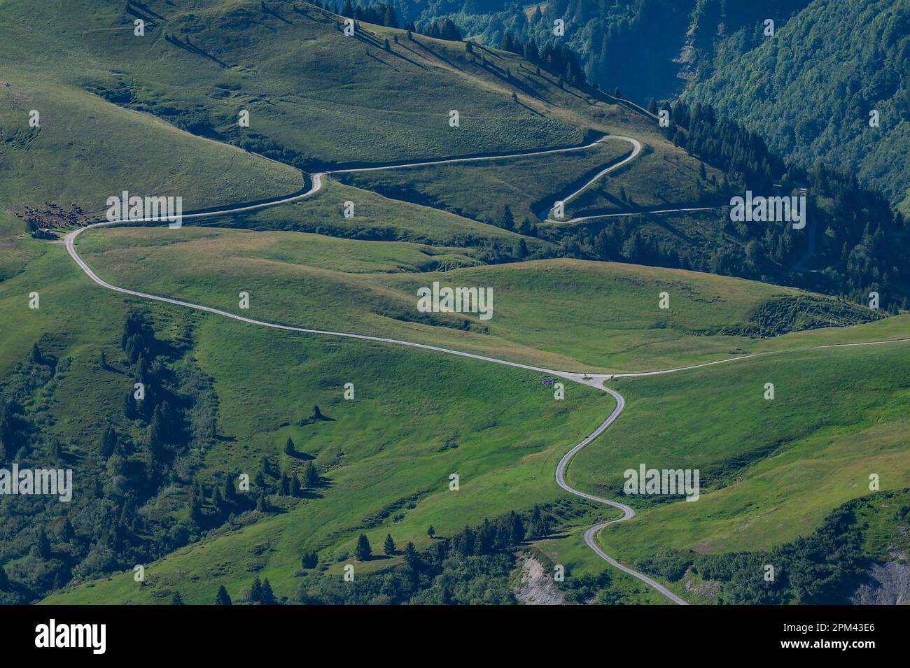 France, Haute Savoie, Aravis massif, Manigod valley, hike in the Combe ...
