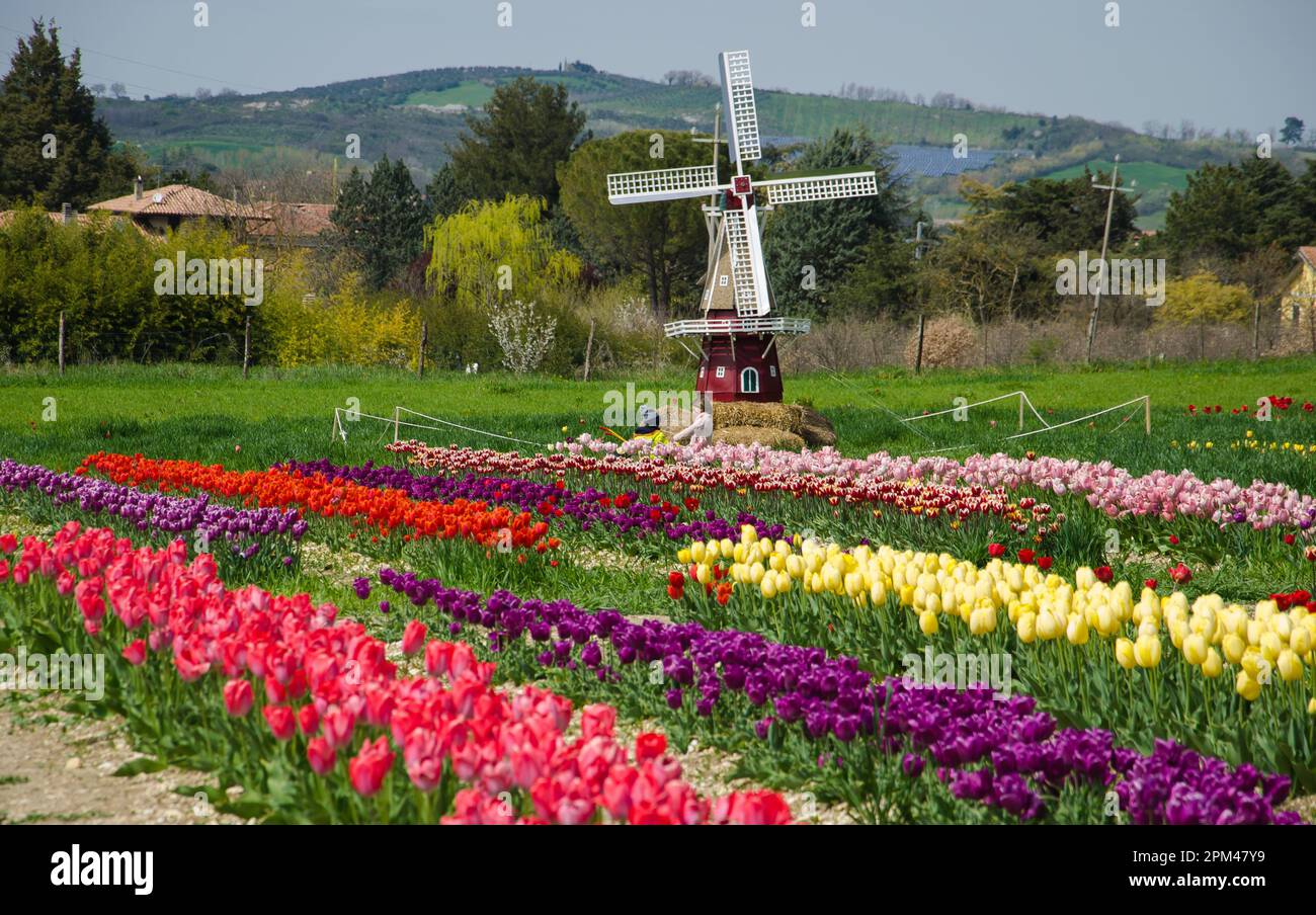 SPOLETO, ITALY - APRIL 11, 2023: landscape with traditional Dutch ...
