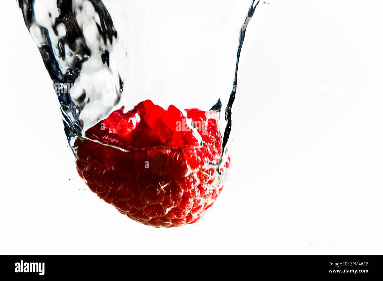 A close-up image of a single raspberry falling into a glass of water ...