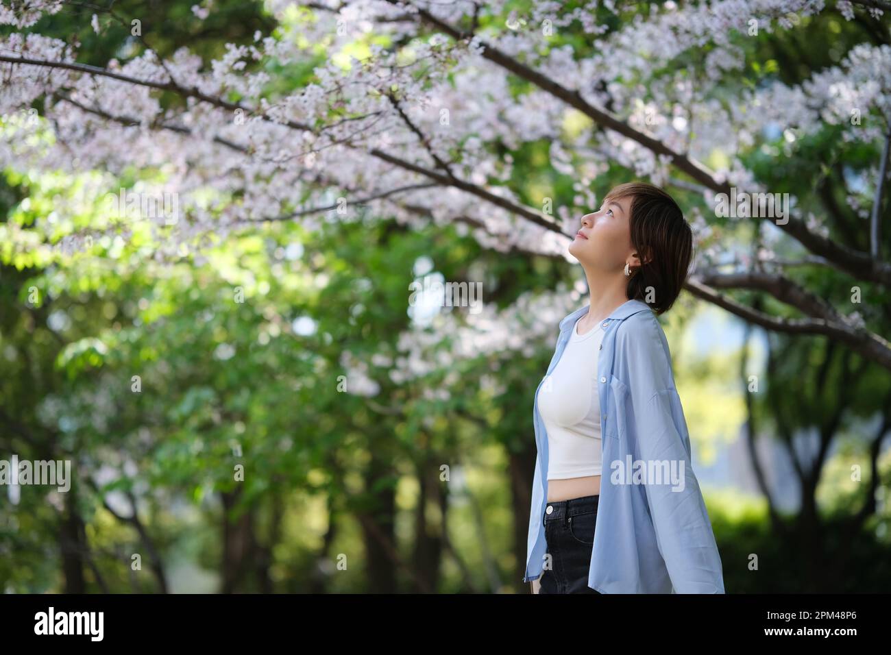 side portrait of beautiful Asian young woman free and relax under white ...