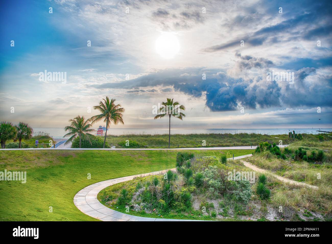 tropical landscape of sunset sky with palm trees in miami Stock Photo ...