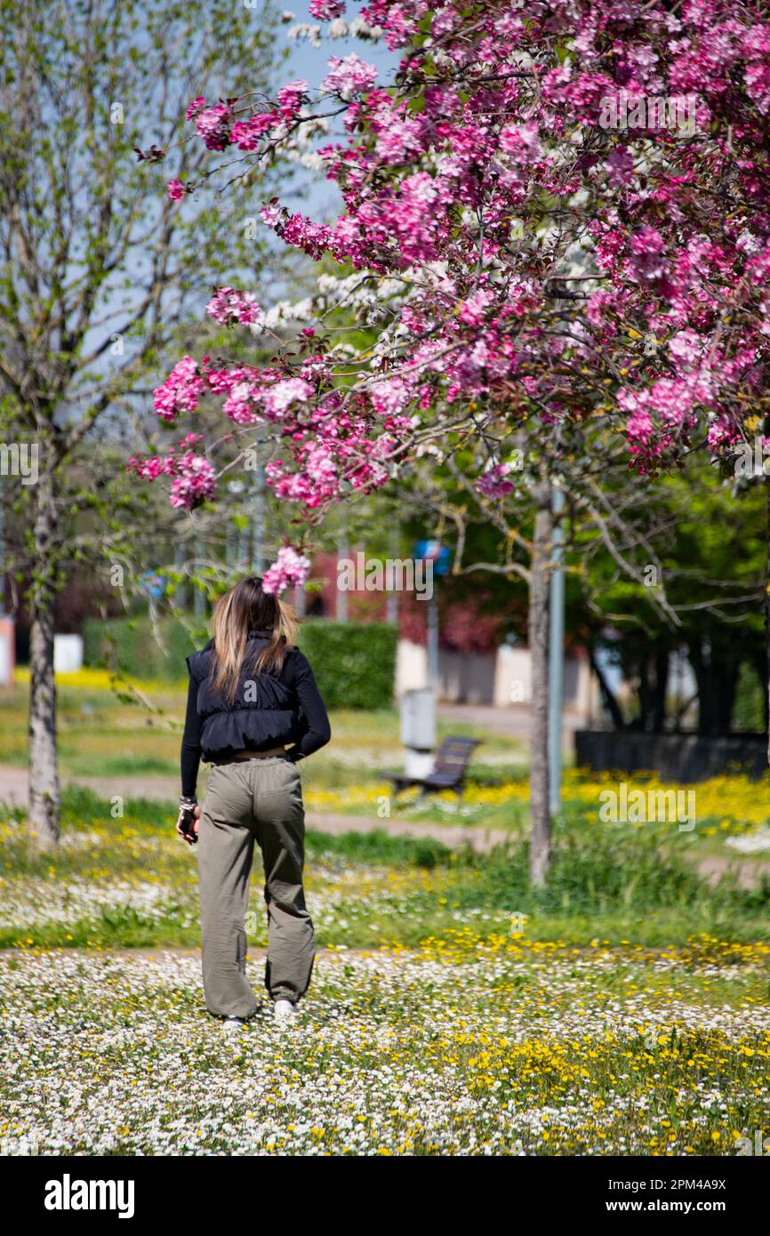 Woman walking children on trail hi-res stock photography and images - Alamy