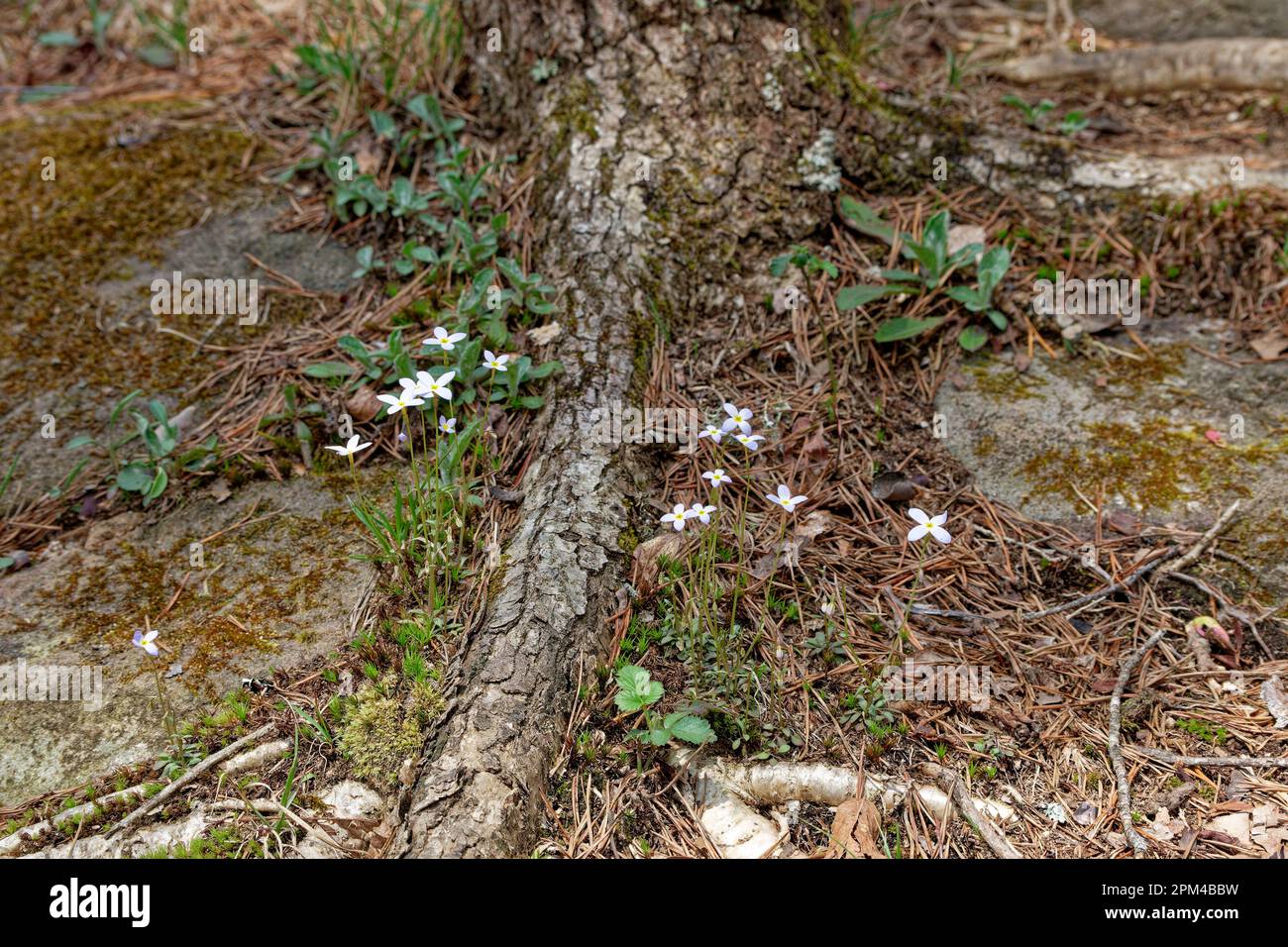 Quaker rocks hi-res stock photography and images - Alamy