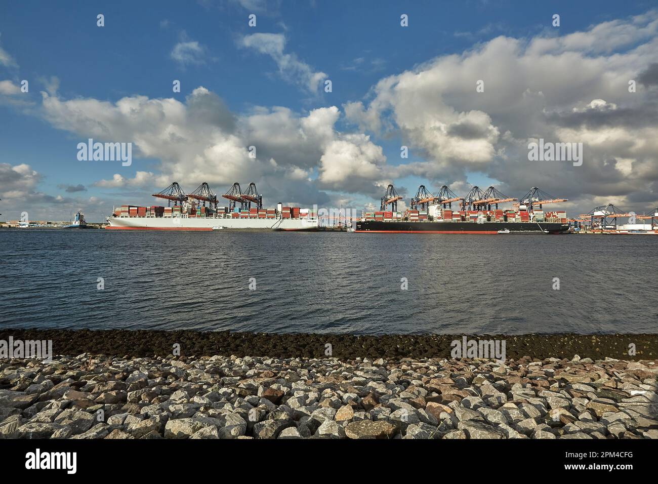 Container Dock in Rotterdam, Cargo Ships Stock Photo - Alamy