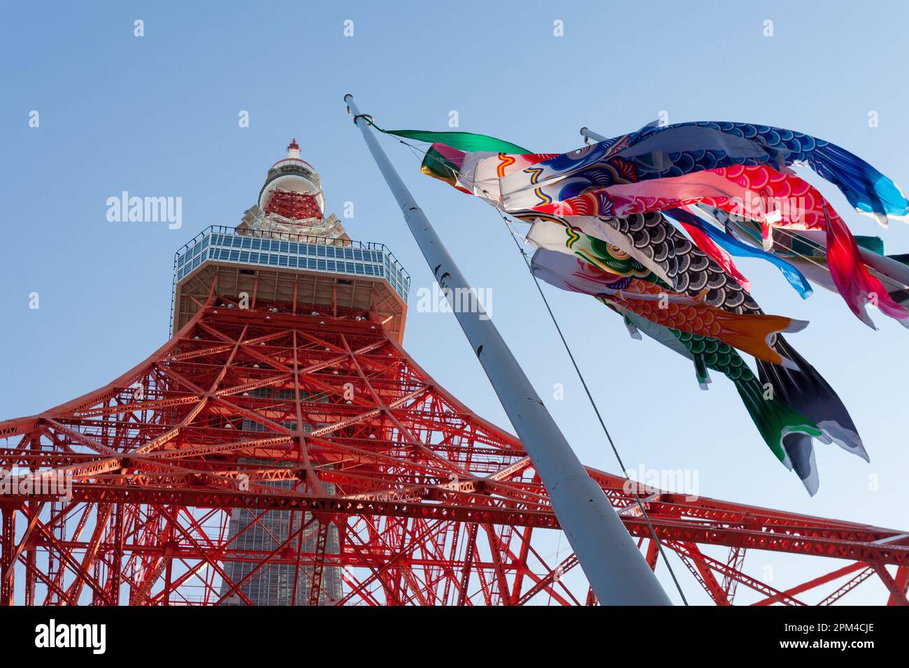 Koinobori, or Carp streamers, including a giant six meter long Pacific ...