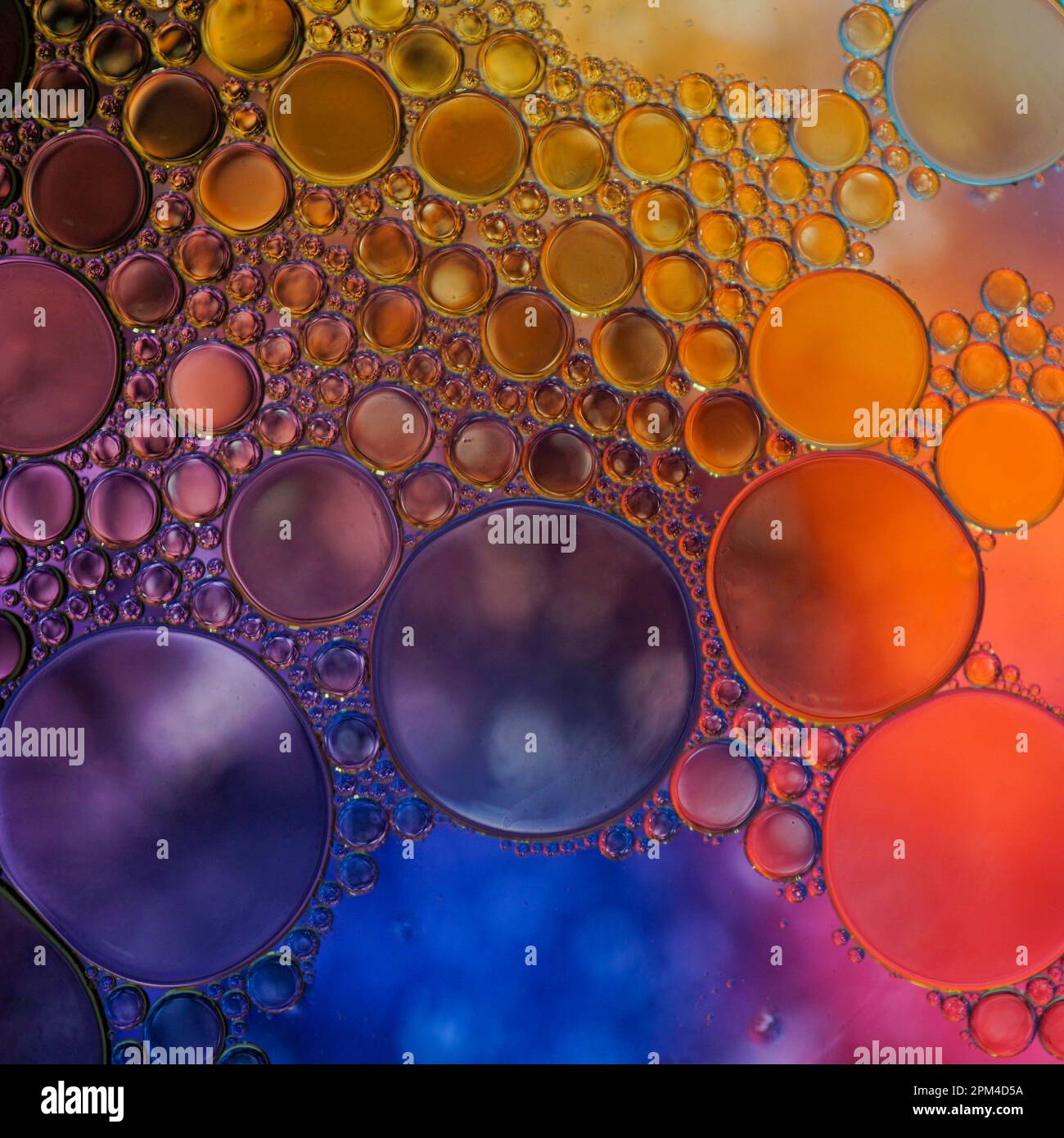 multi colored oil circles on the water, colorful background Stock Photo ...