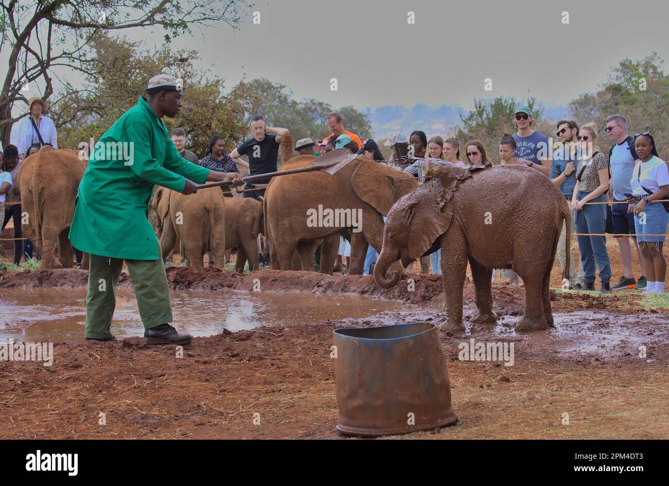 NAIROBI,KENYA - March 20 2023: A keeper at the Sheldrick Wildlife Trust ...