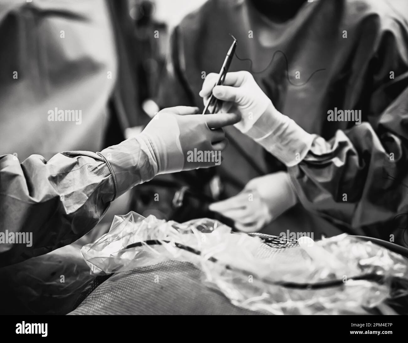 An experienced medical professional is using a precision instrument to ...