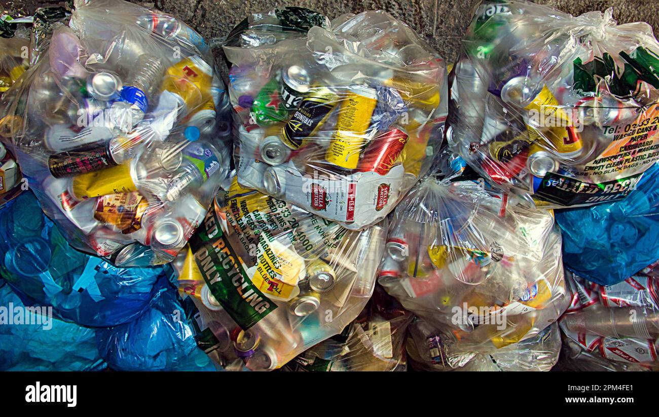 drink cans for recycling in see through bags Stock Photo - Alamy
