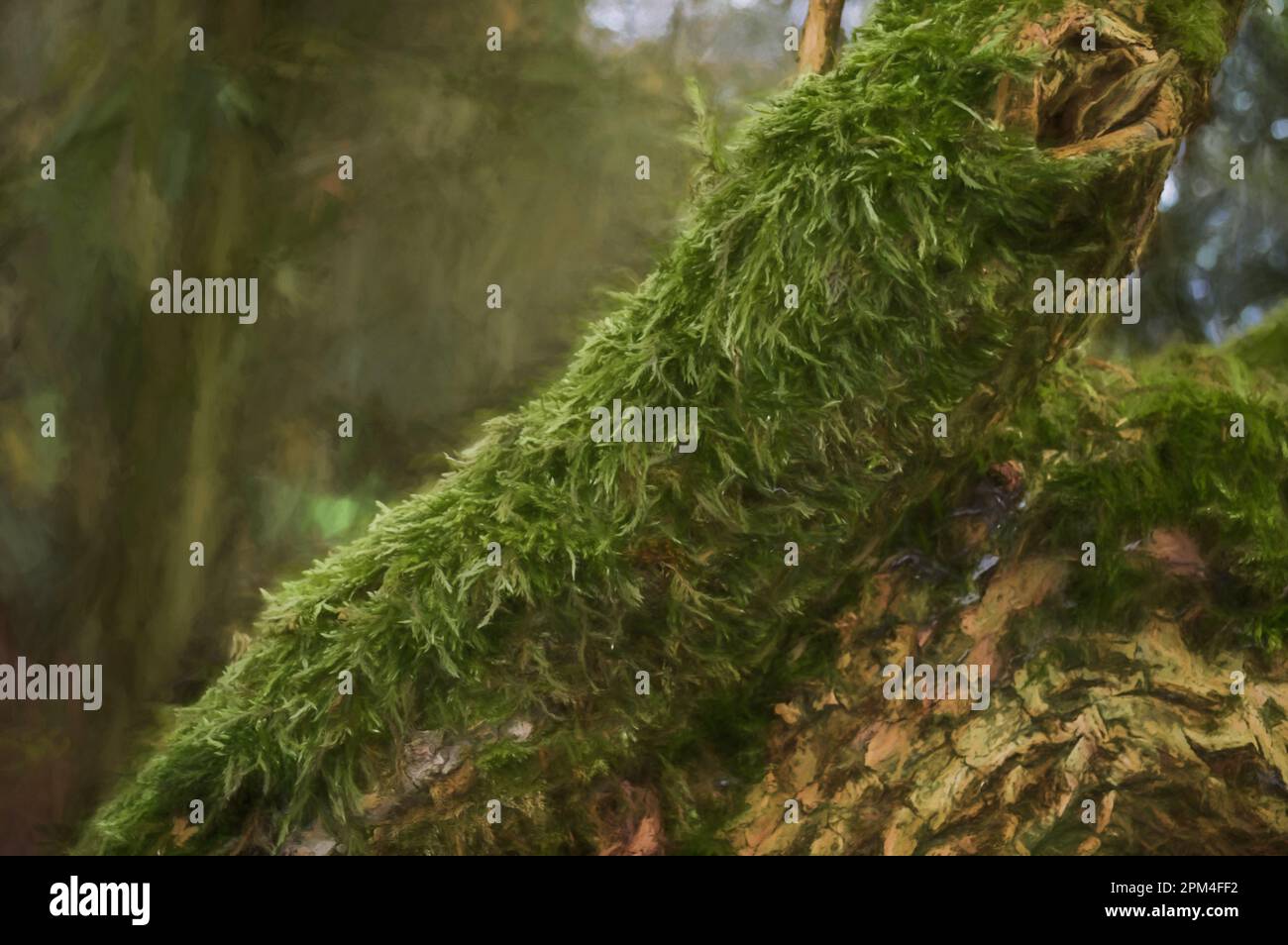 Digital painting of a tree branch in the woods covered in beautiful ...