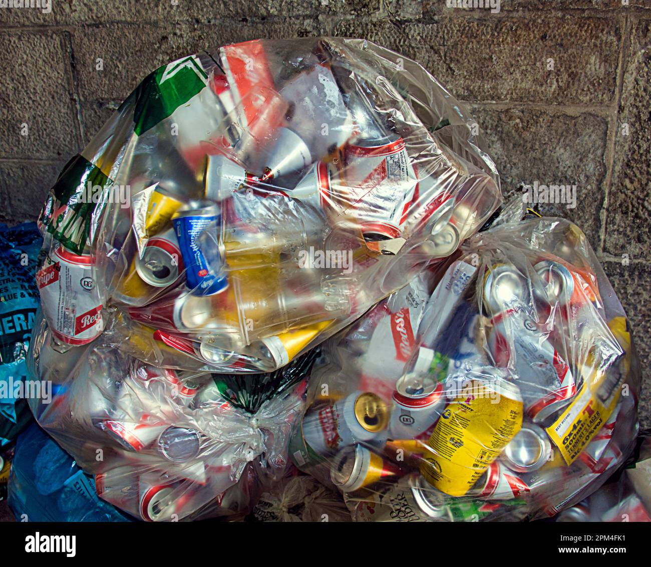 drink cans for recycling in see through bags Stock Photo - Alamy