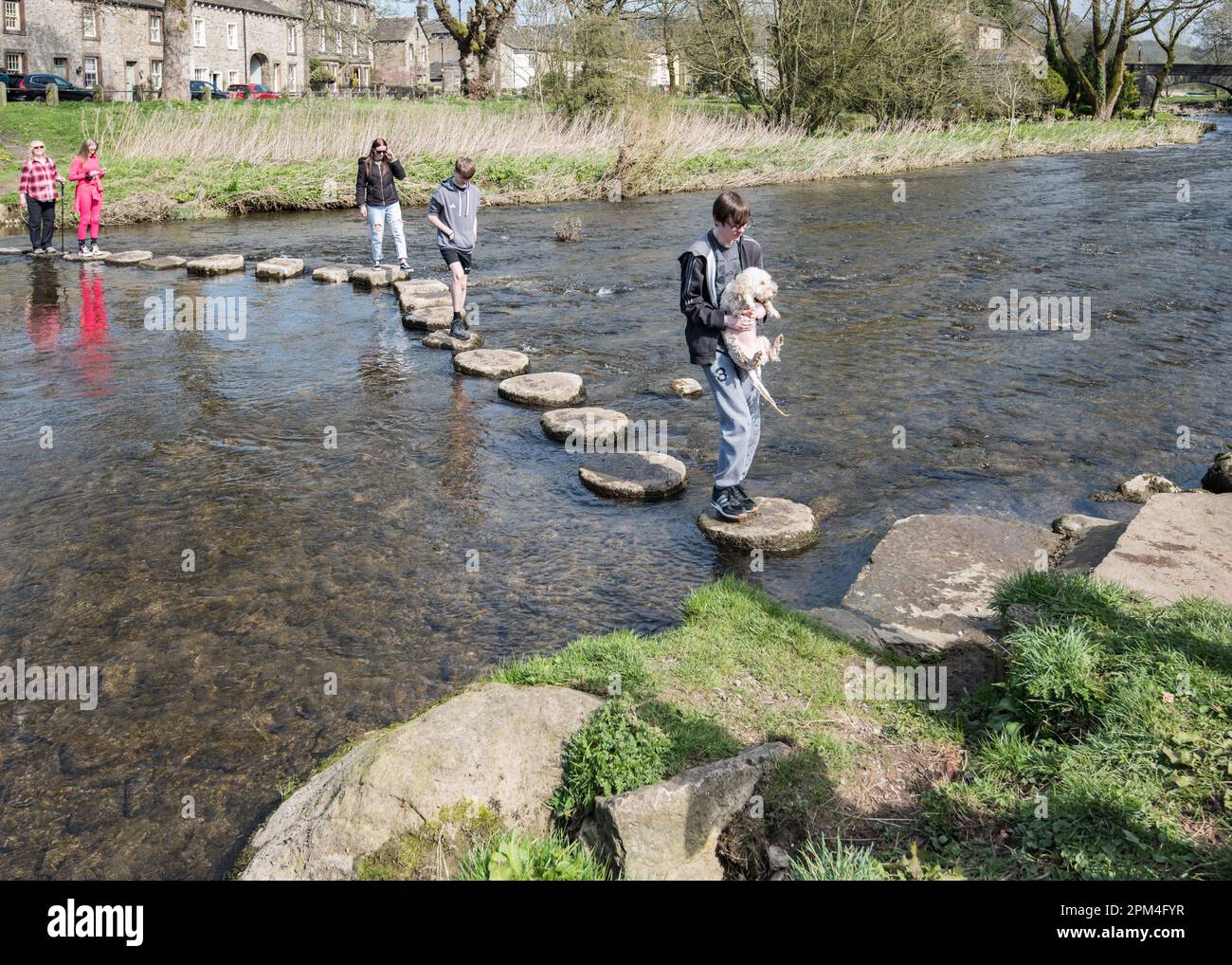 Helping a dog across stepping stones hi-res stock photography and ...