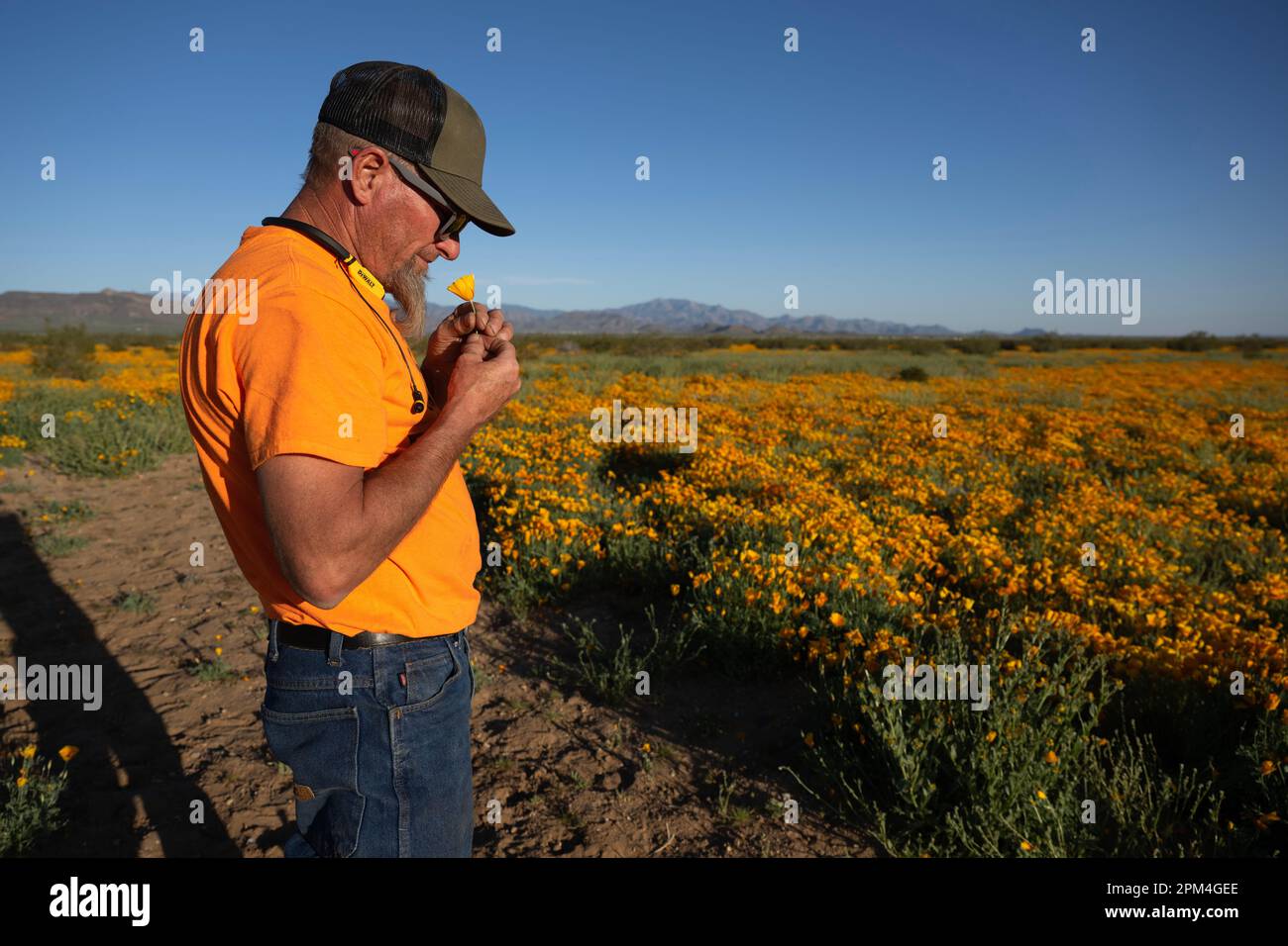 Golden Valley, Arizona, USA. 10th Apr, 2023. Craig Childress of Arizona ...