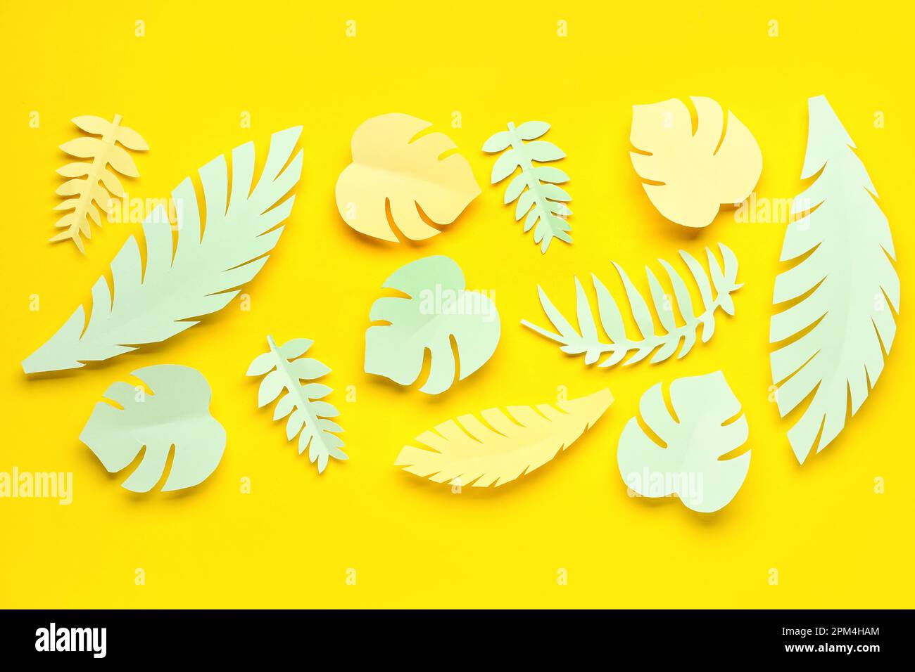 Paper tropical leaves on yellow background Stock Photo - Alamy