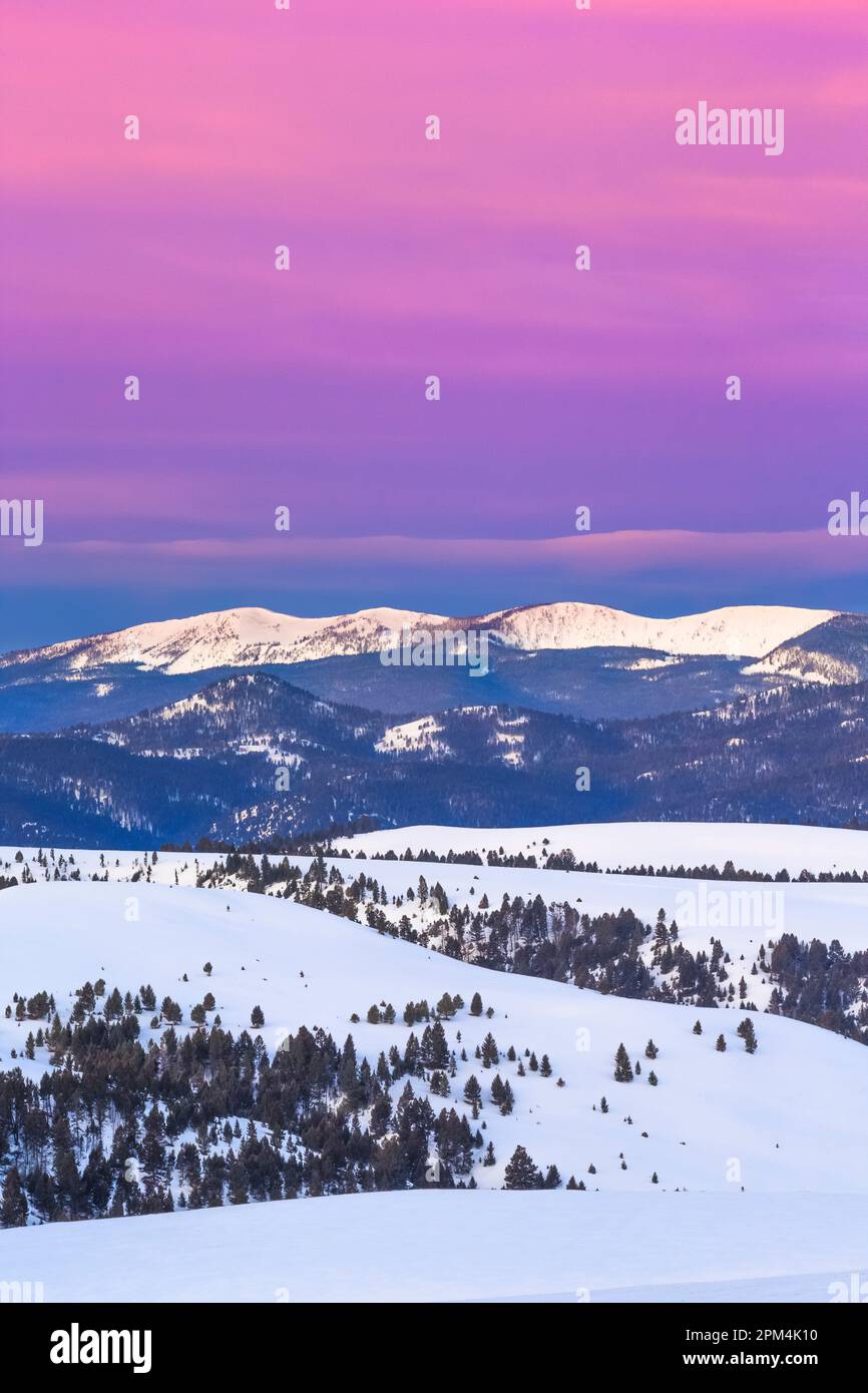 pre-dawn sky over the sapphire mountains and foothills in winter near ...