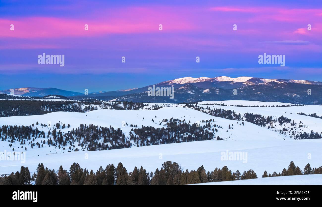 pre-dawn sky over the sapphire mountains and foothills in winter near ...