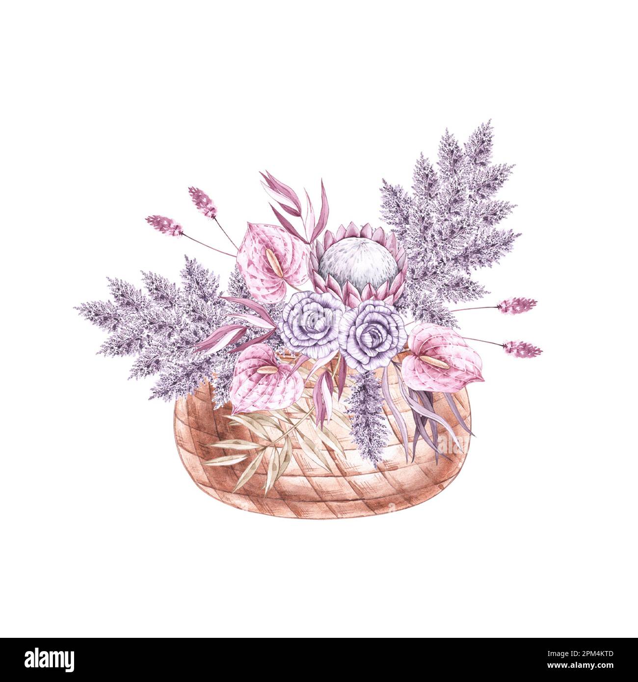 Watercolor basket with tropical flowers on a white background in boho ...