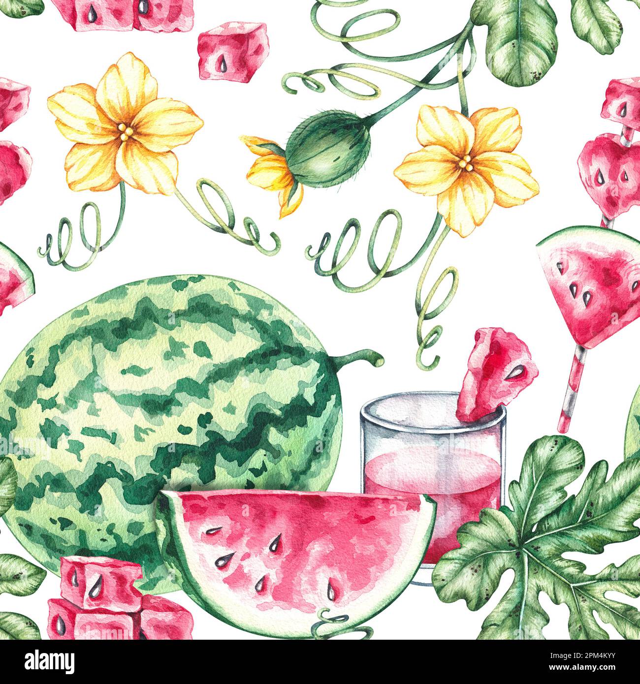 Watercolor summer fruit pattern of watermelon on a white background ...