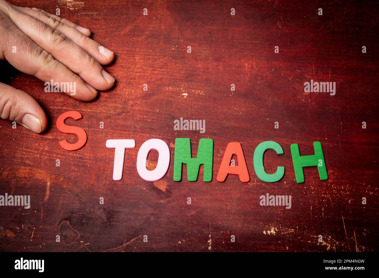 STOMACH Concept. Text from colorful alphabet letters on a painted ...