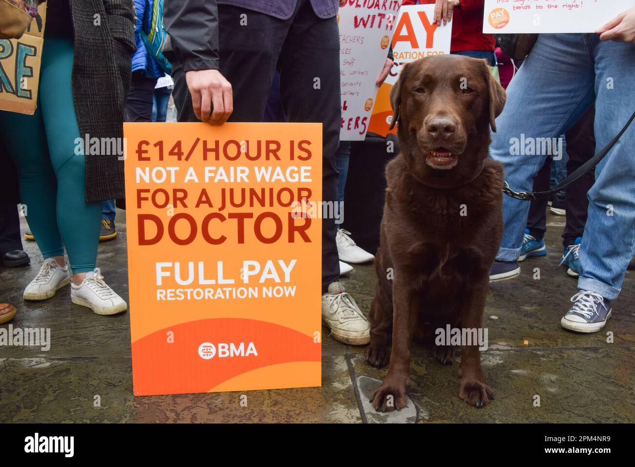 London, UK. 11th April 2023. A dog joins the protest. Thousands of ...