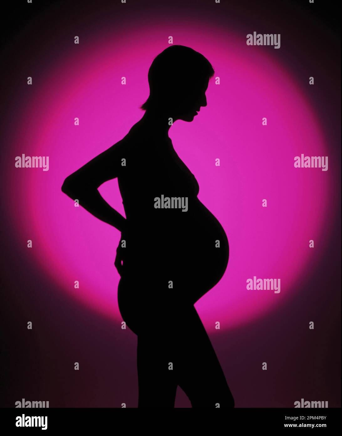 Pregnant Silhouette Pink