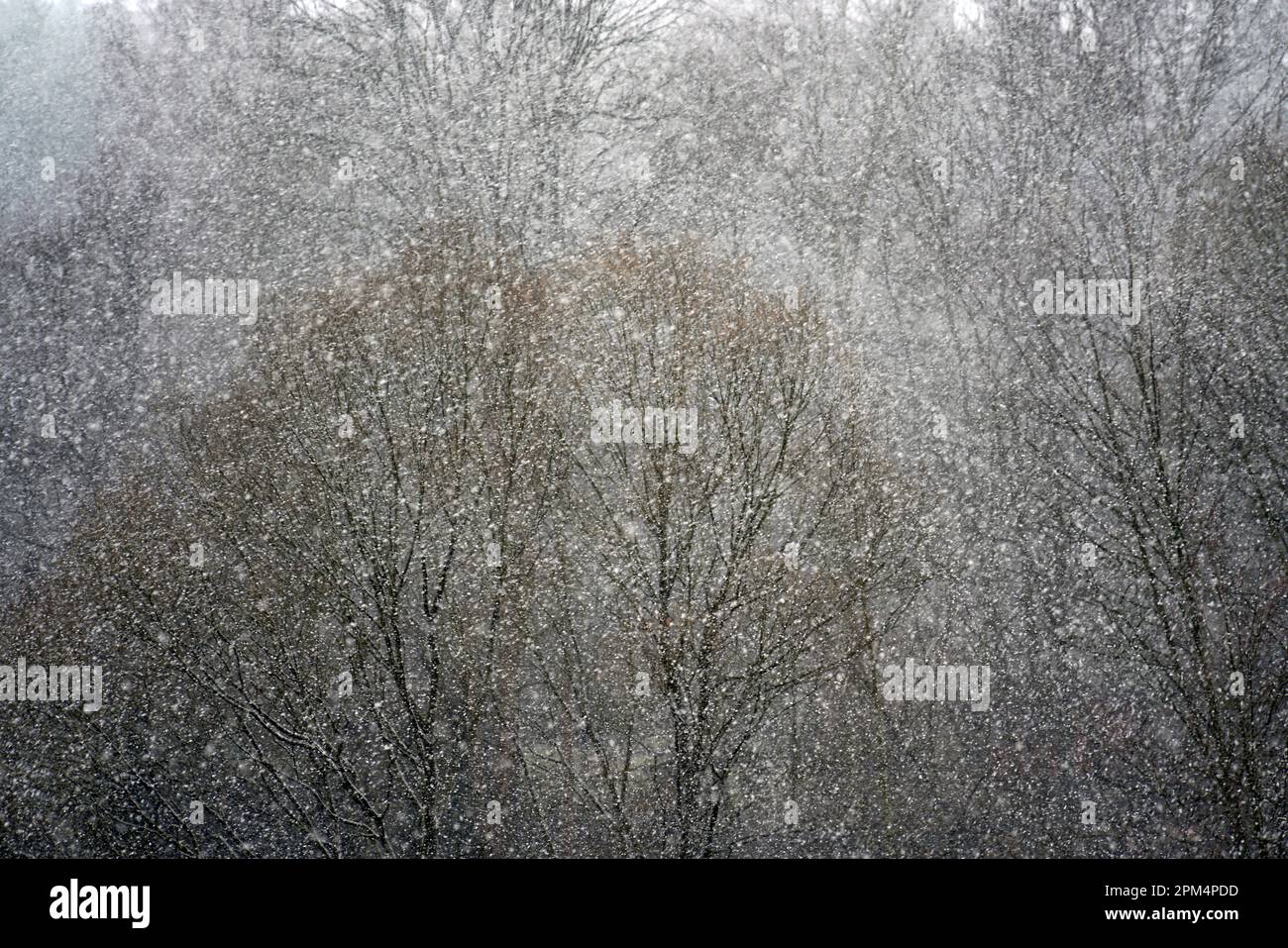Snowfall scenery hi-res stock photography and images - Alamy