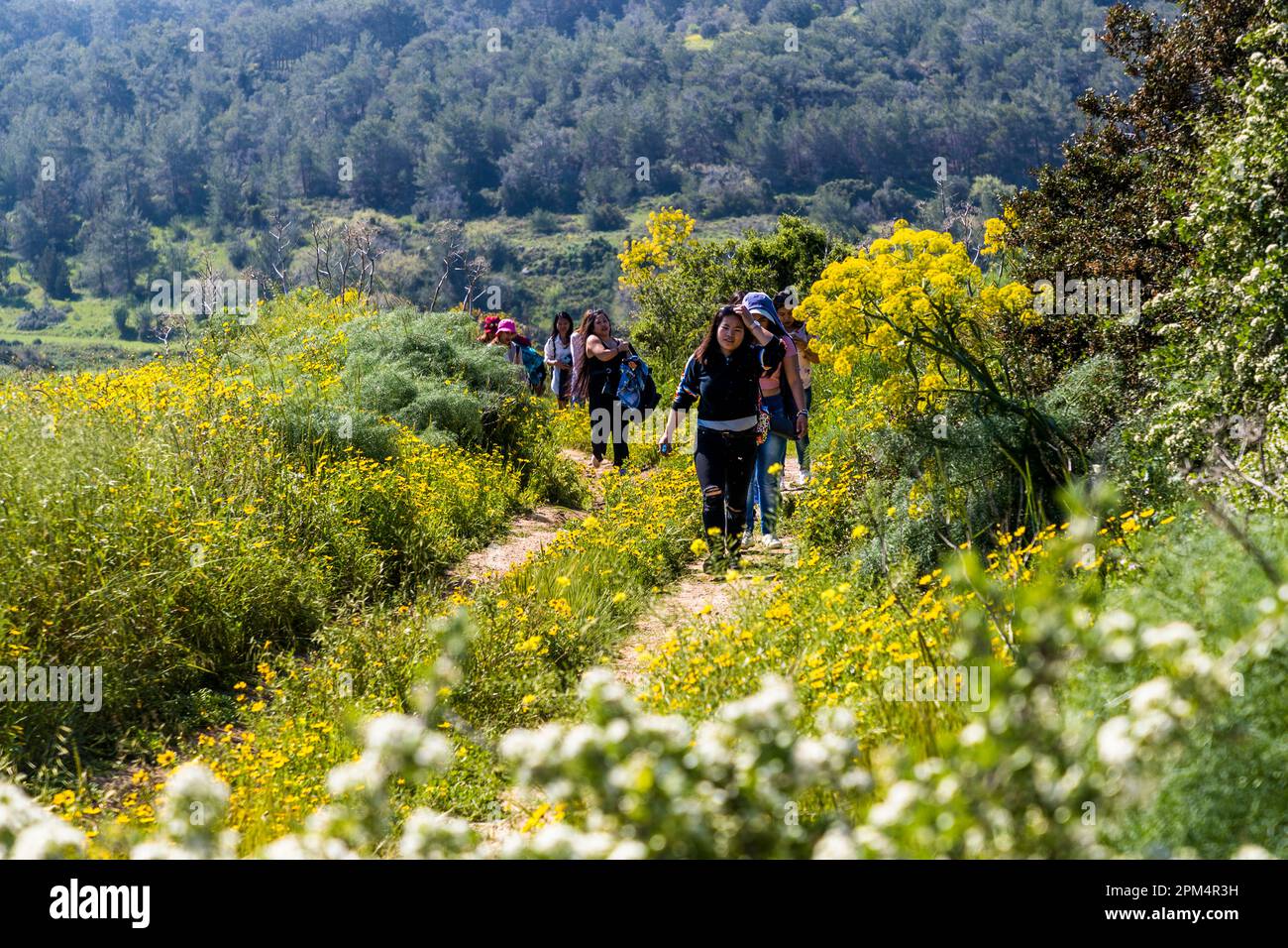Hiking in cyprus hi-res stock photography and images - Alamy