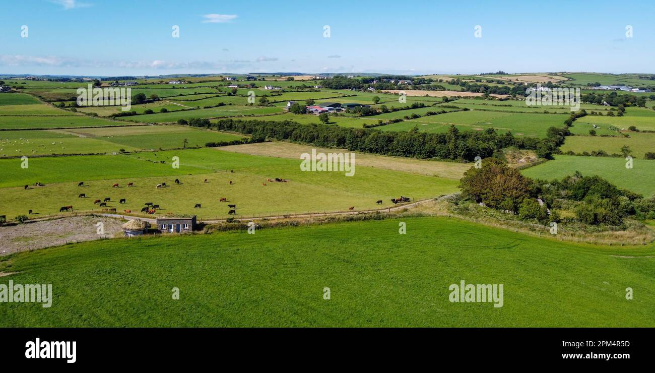 Vast pastures for cattle. Picturesque farmland, top view. Agricultural ...