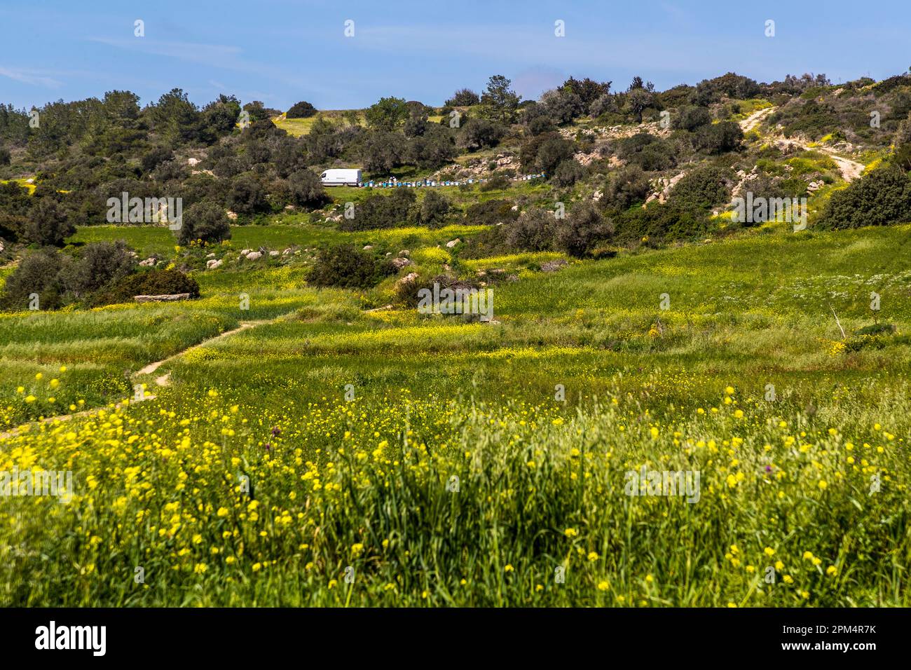Family cyprus hi-res stock photography and images - Alamy