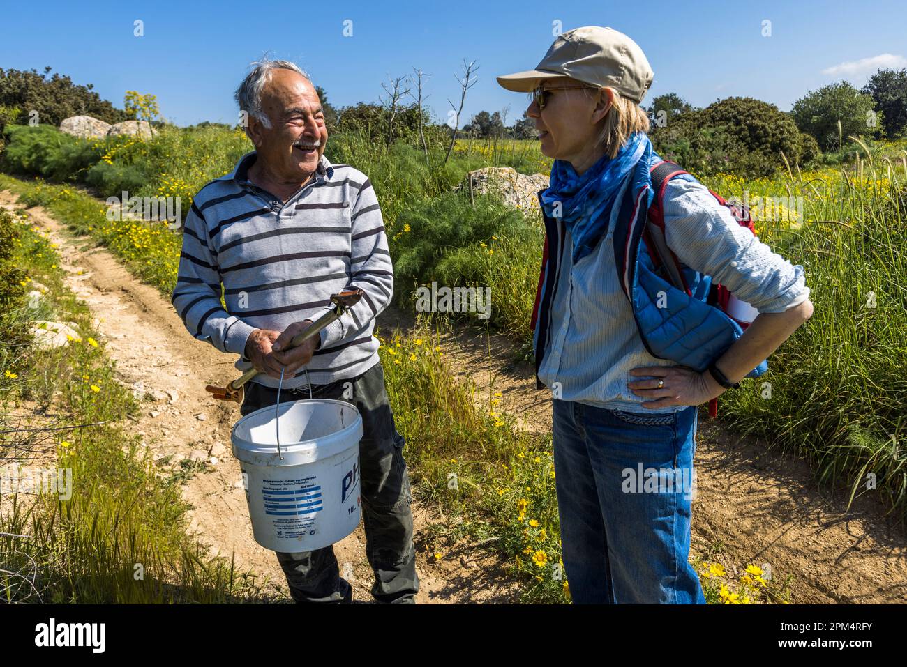 Wild caper harvest near Kormakitis, Cyprus. A resident of Kormakitis ...