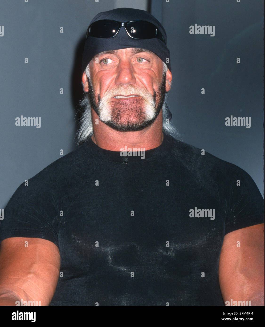 2000Hulk Hogan Photo by John Barrett/PHOTOlink / MediaPunch Stock Photo ...