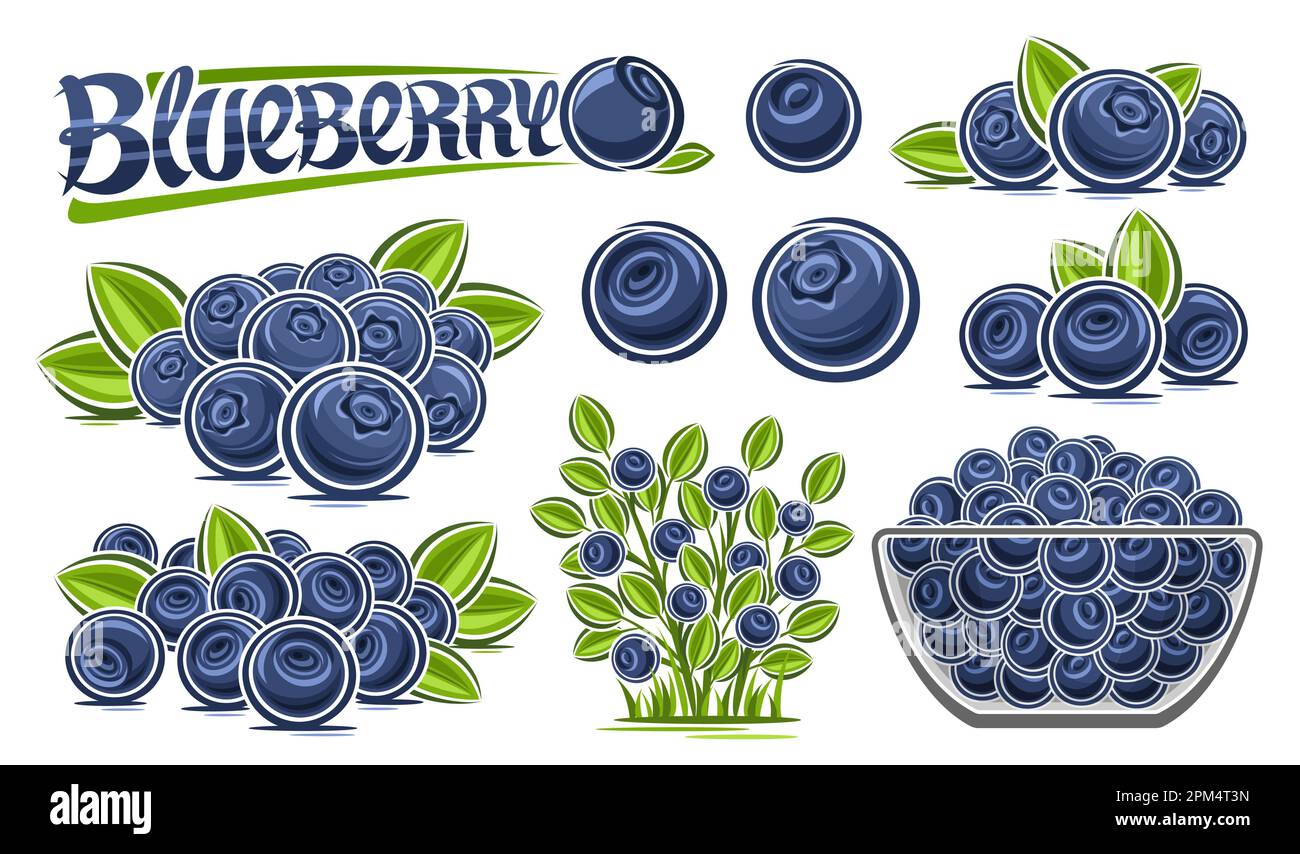 Still life plant in Stock Vector Images - Alamy