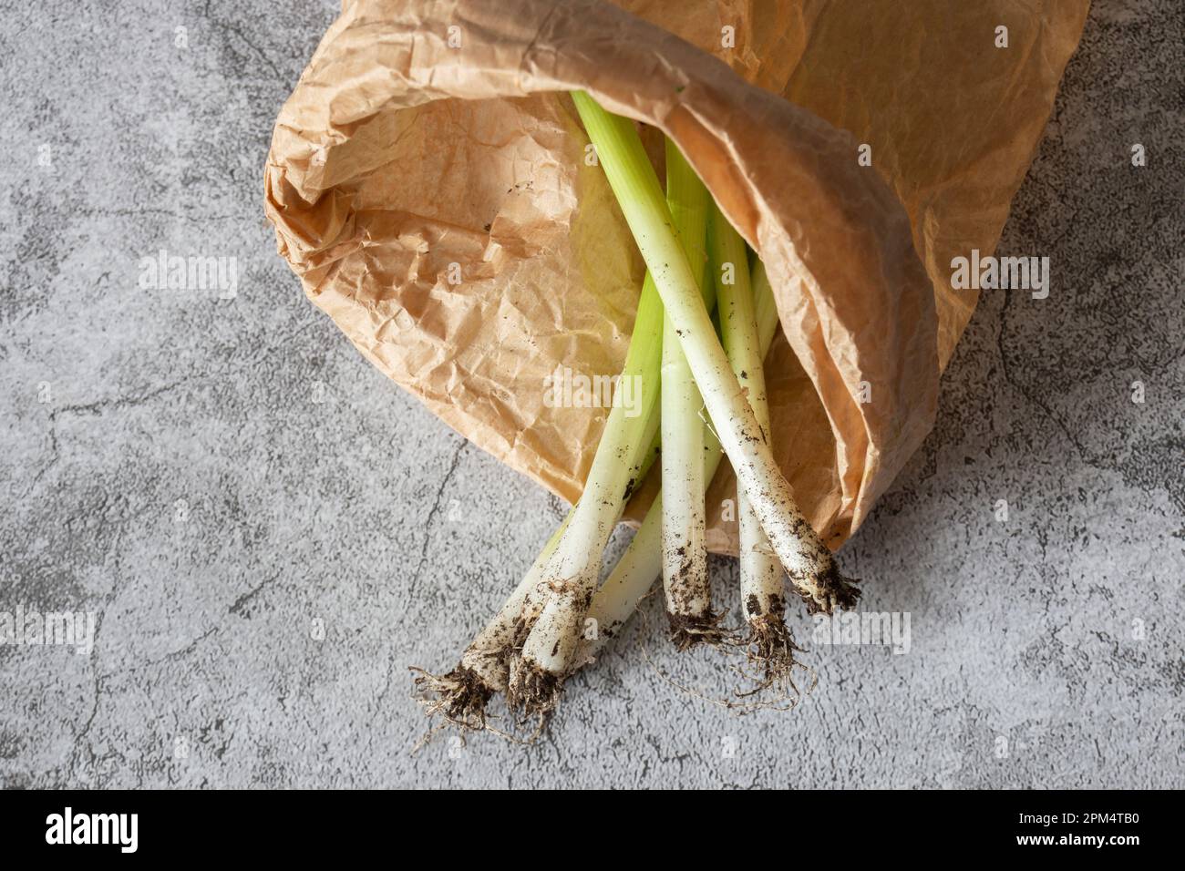 Spring onions in a brown paper bag. Eco friendly sustainable ...