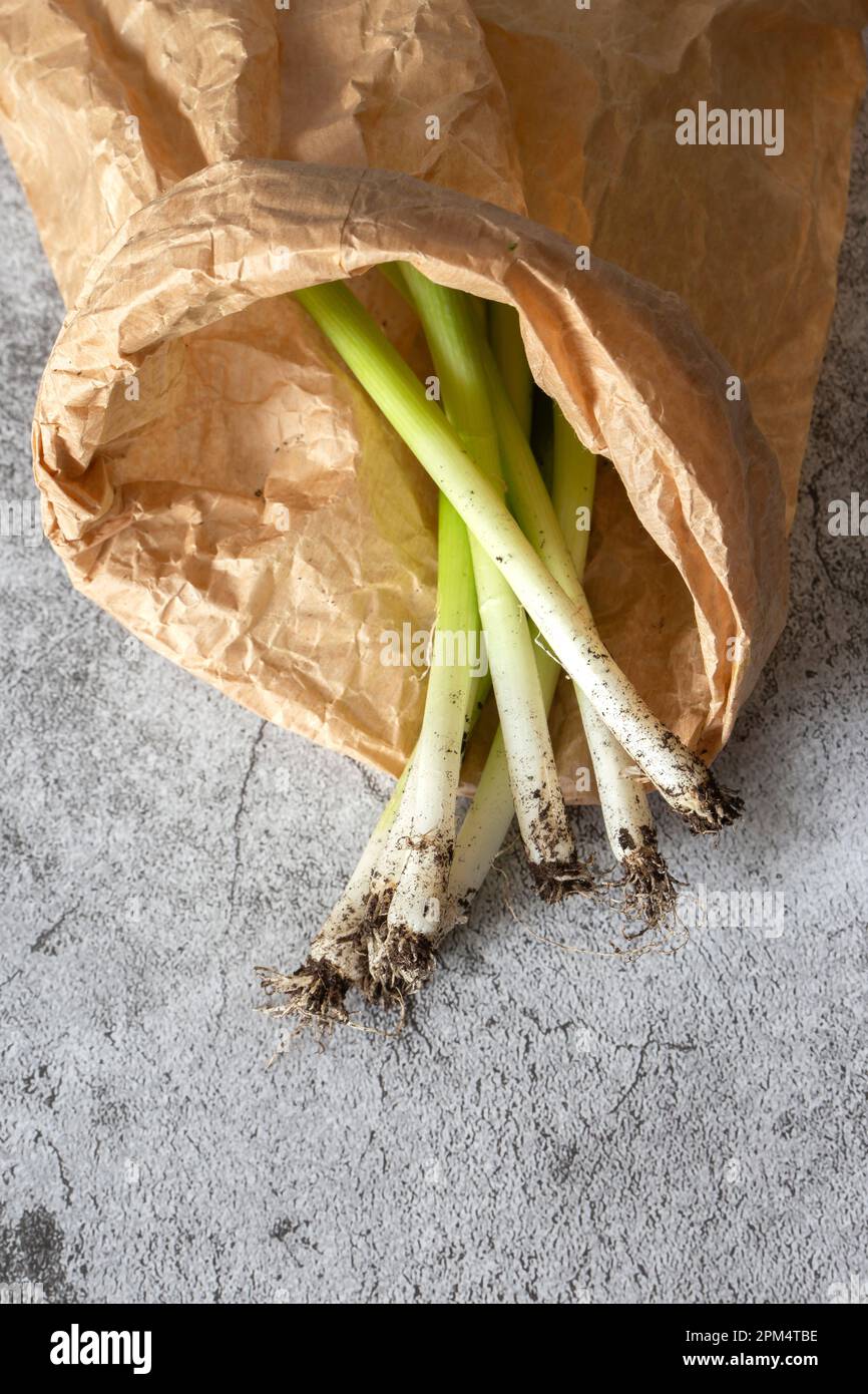 Spring onions in a brown paper bag. Eco friendly sustainable ...