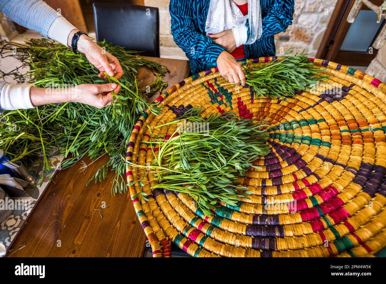 Sea fennel (Rock Queller / Crithmum maritimum) is sorted after ...