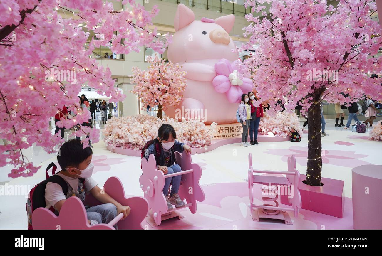 "LuLu Pig" Spring Cherry Blossom Festival celebration at New Town Plaza ...