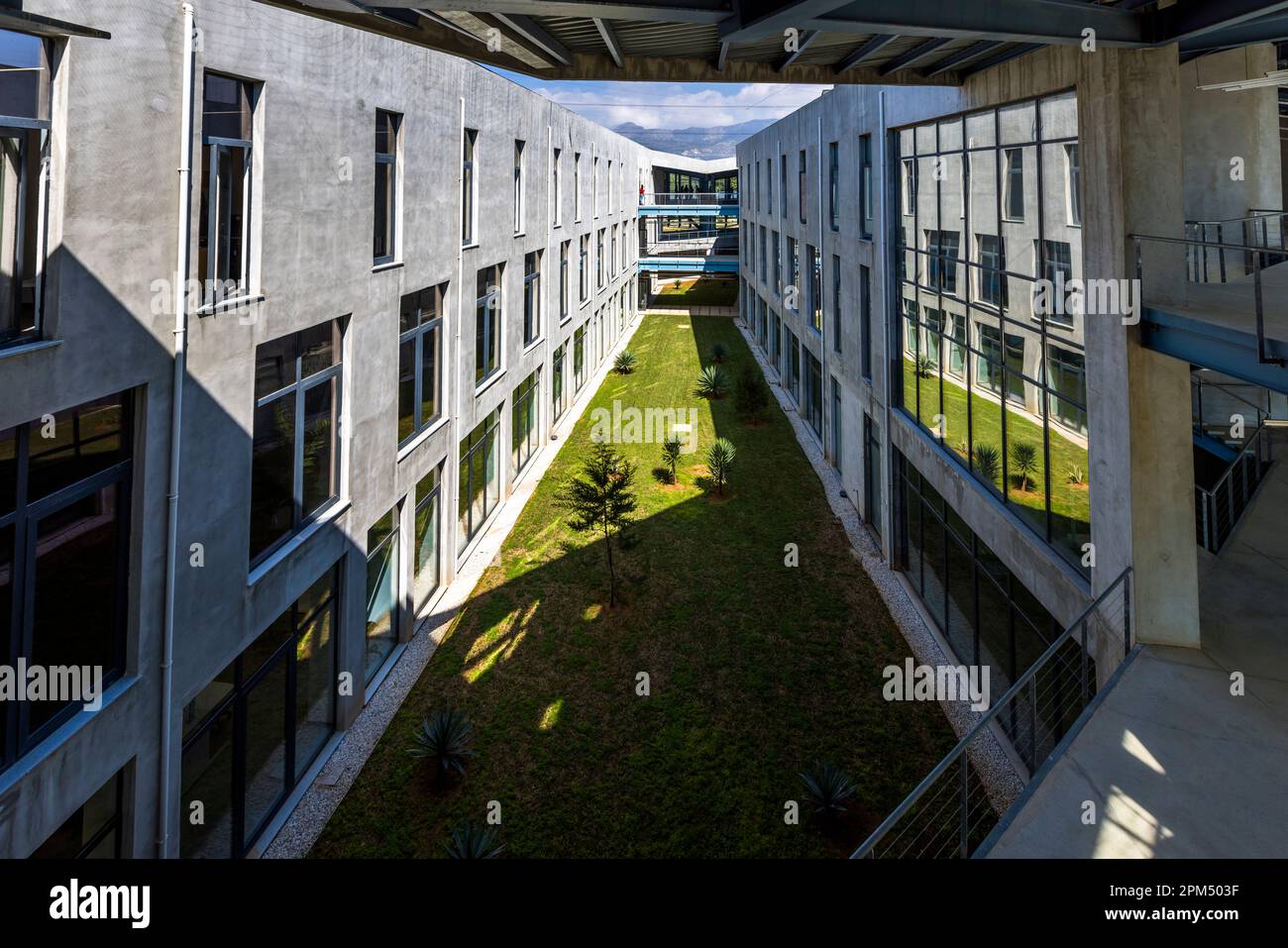 Cyprus International University Logo