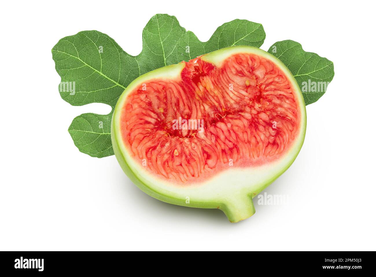 Ripe green fig fruit half isolated on white background with full depth ...