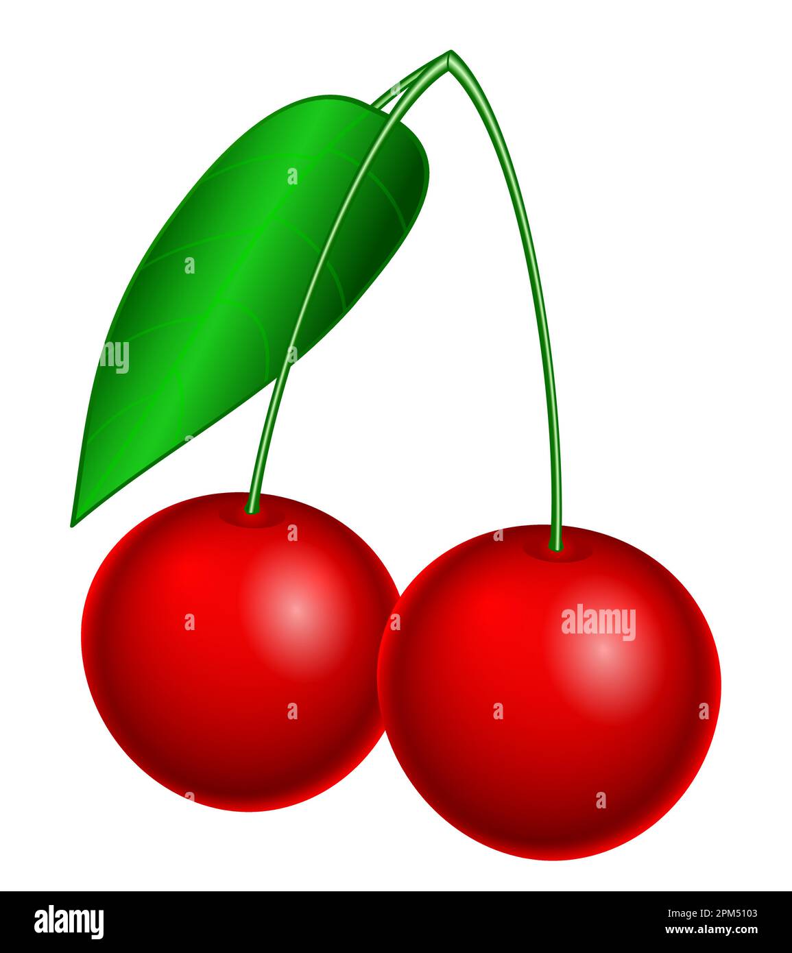 Illustration of ripe red cherry fruit. No gradient mesh Stock Vector ...