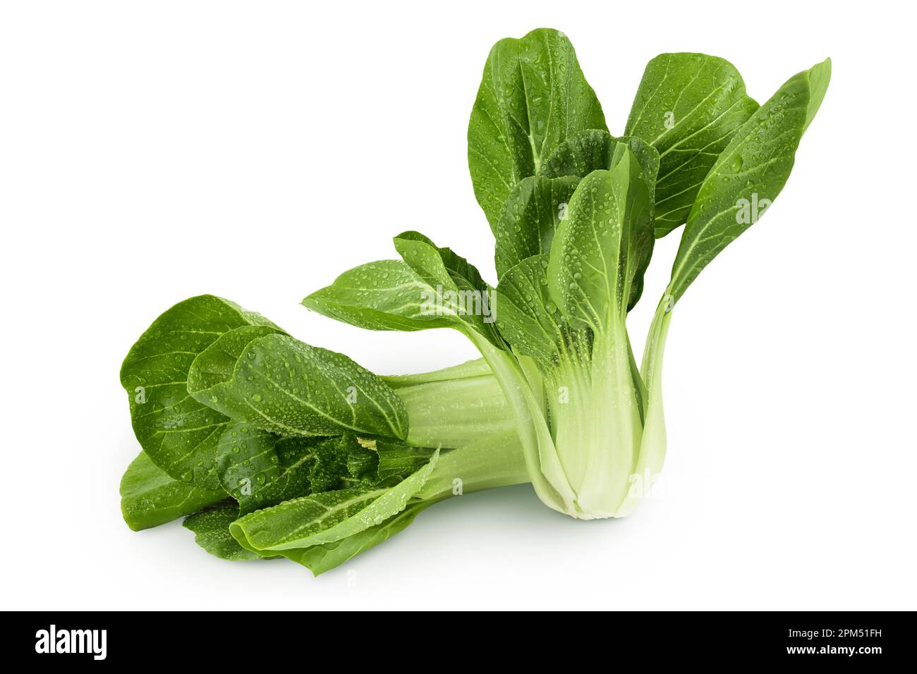 Fresh pak choi cabbage isolated on white background with full depth of ...