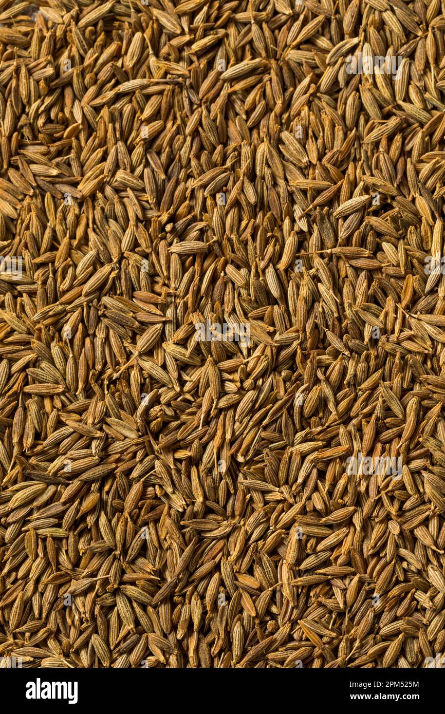 Dry Organic Raw Cumin Seeds in a Bowl Stock Photo - Alamy