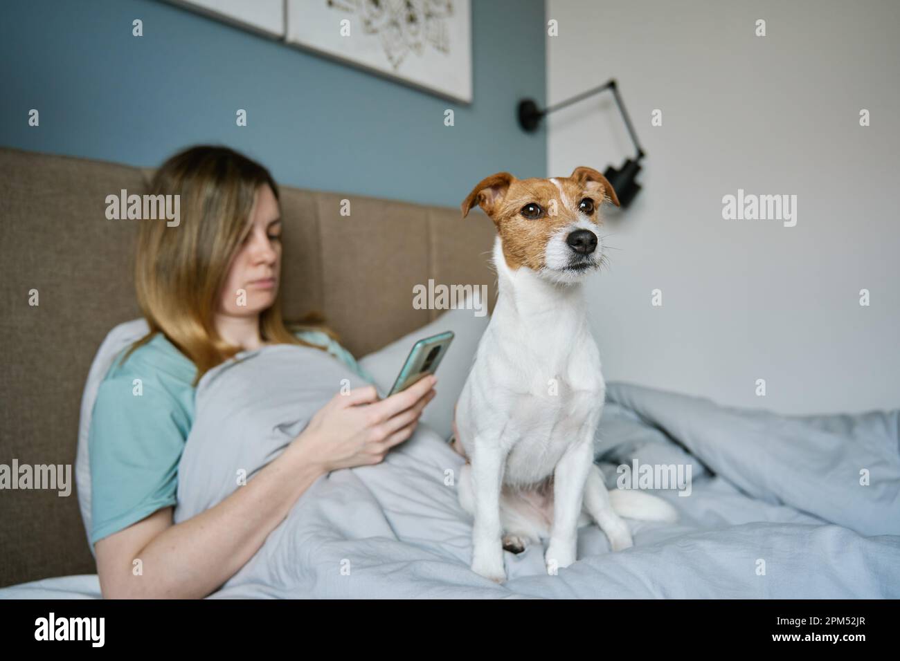 Woman with cute dog chilling in bed at morning and use smartphone, lazy ...