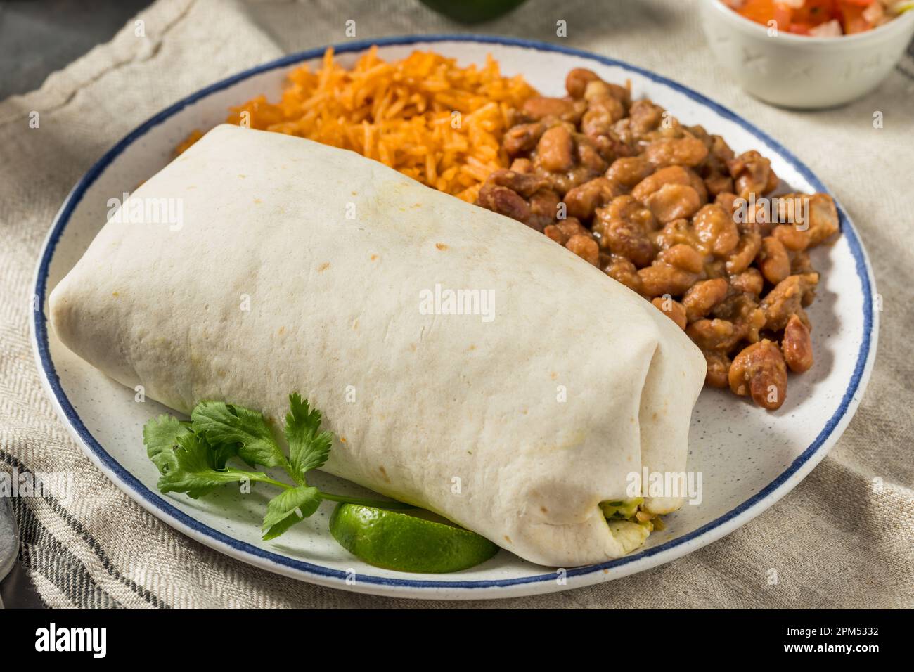 Homemade Mexican Cheesy Steak Burrito with Guacamole and Salsa Stock ...