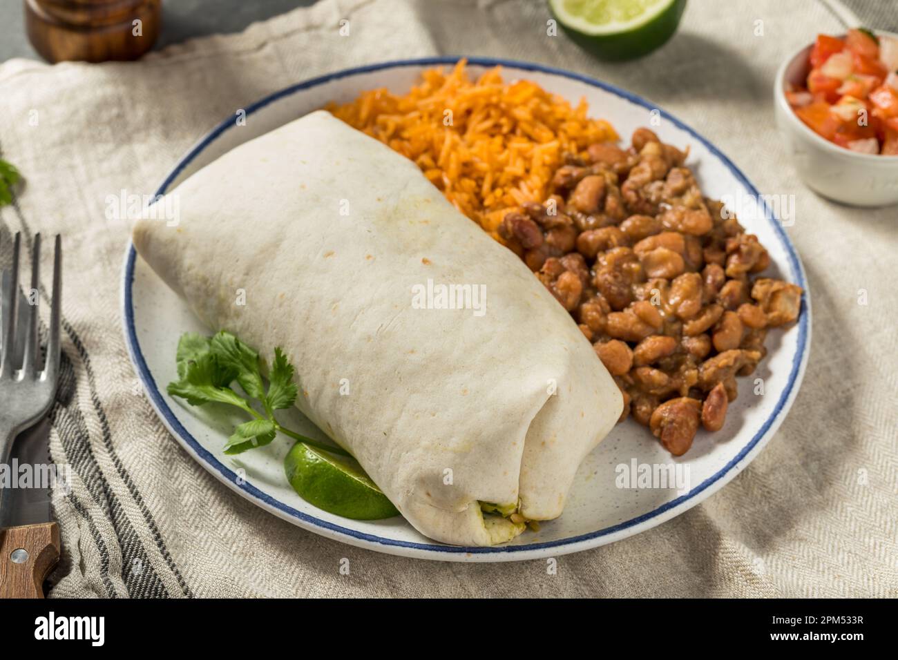 Homemade Mexican Cheesy Steak Burrito with Guacamole and Salsa Stock ...