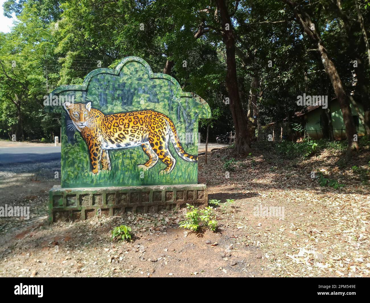 Dandeli, Karnataka, India 18th May 2019 : A tiger, Panthera tigris, on ...