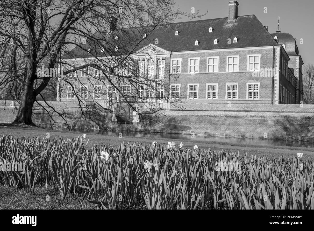 the city and the castle of Ahaus in germany Stock Photo - Alamy