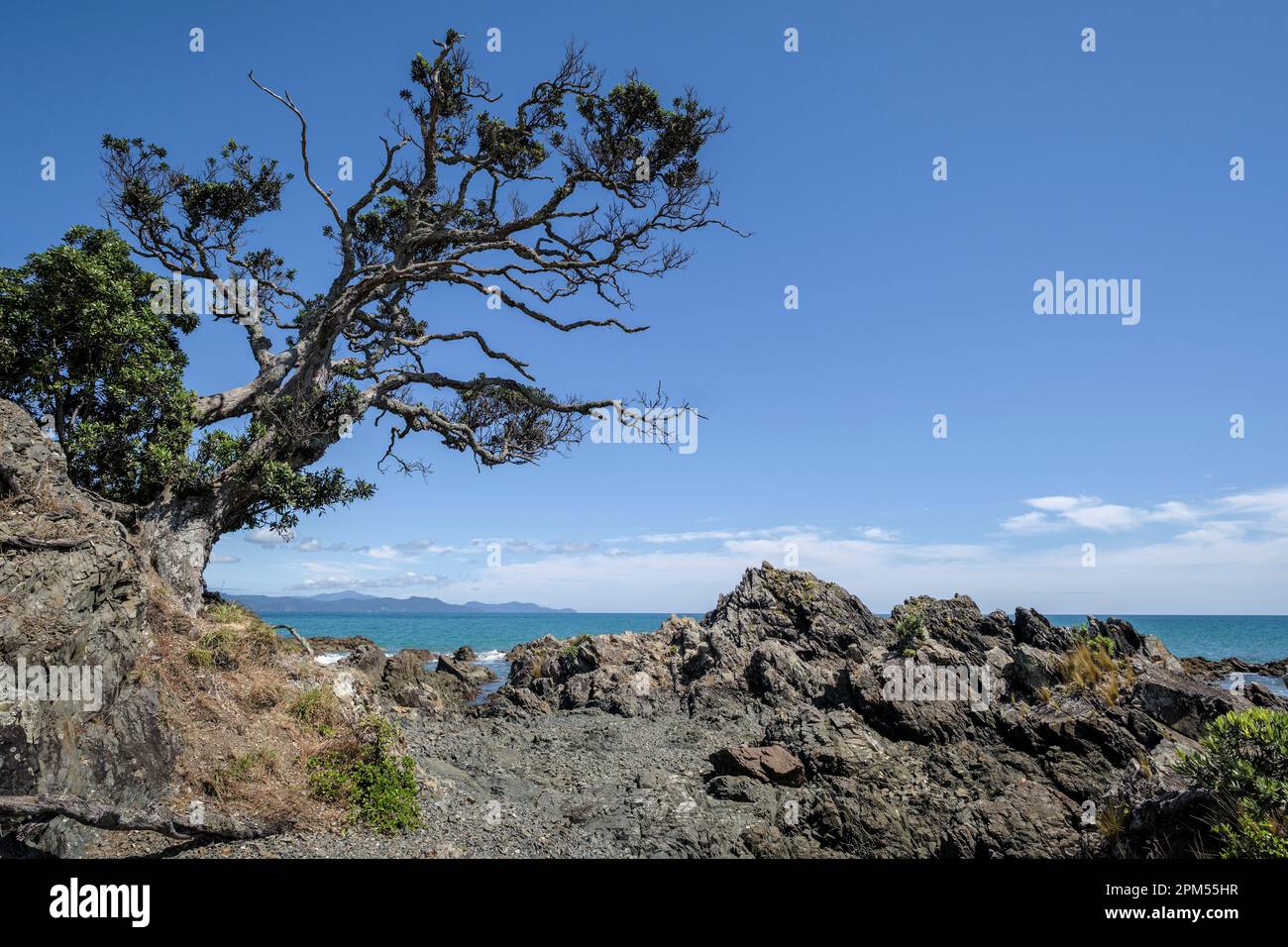 Kūaotunu, Coromandel Peninsula, North Island, New Zealand Stock Photo ...