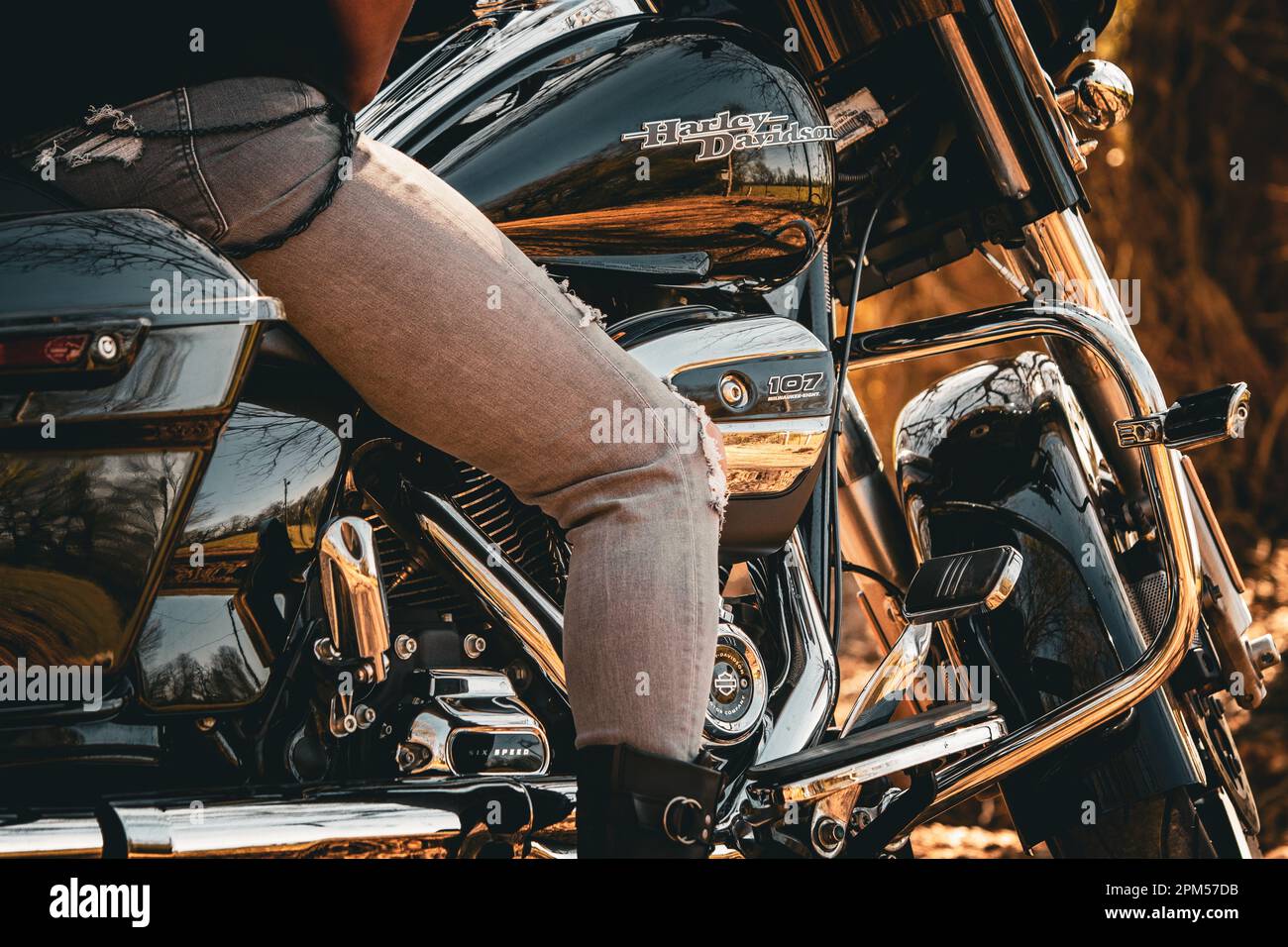 Side view of harley davidson motorcycle hi-res stock photography and ...