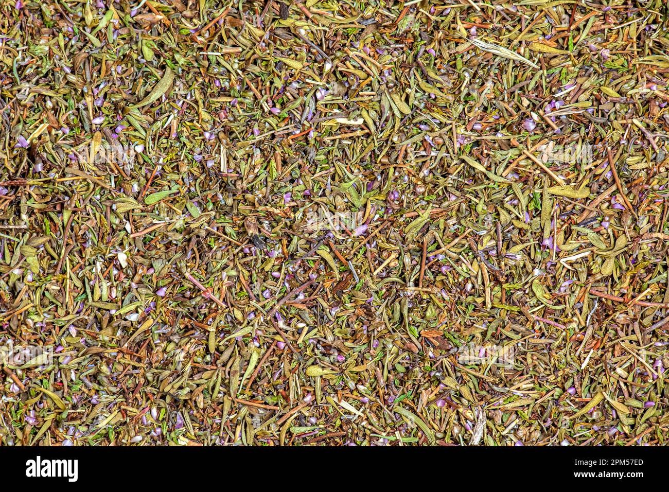 Thyme dry herb texture background. Latin name Thymus vulgaris L. Medicinal herbs. The concept of ...